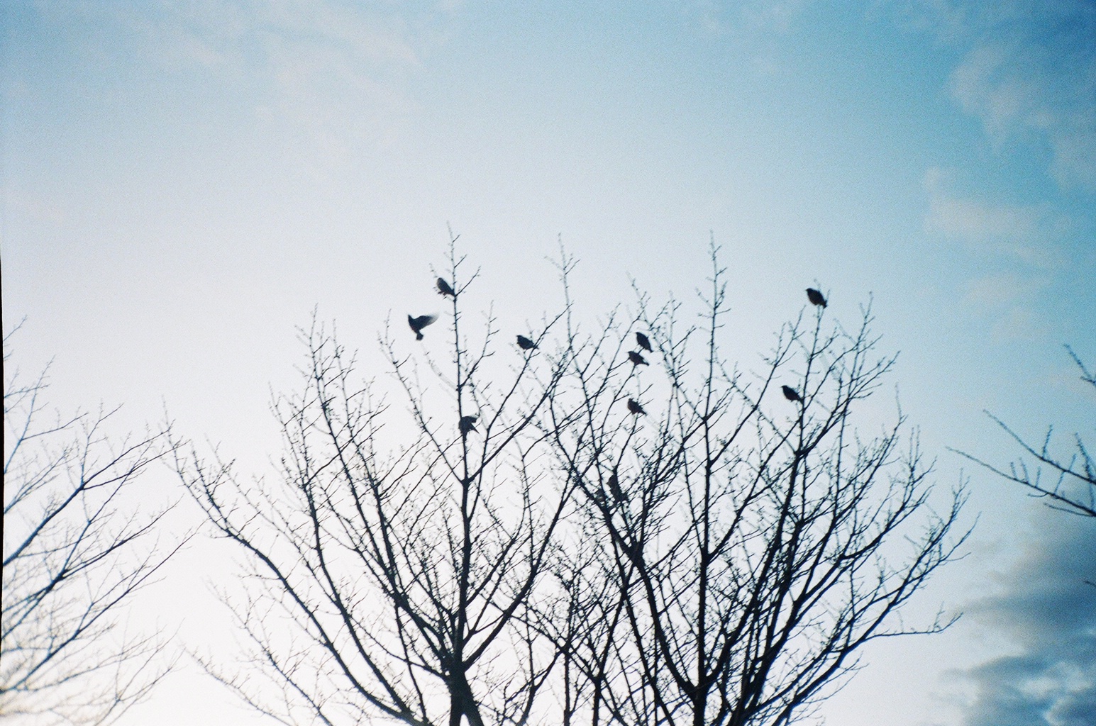 GINZA Magazine 5月号：連載 Blue Time Machine 「夜明け」 | Masumi Ishida | the few